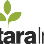 Totara vs Moodle - Which is the Right Choice for you?