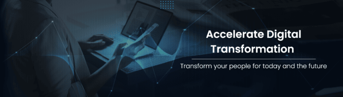 Accelerate Digital Transformation for Organizational Growth - Paradiso