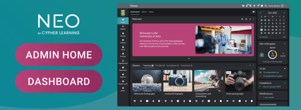 Best Learning Management System Examples for 2025 | Paradiso LMS