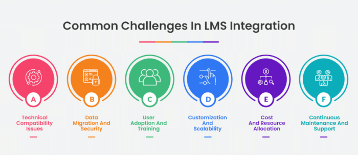 The Importance of Learning Management Systems (LMS) Integration