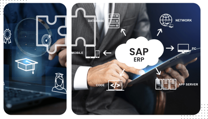 SAP LMS | SAP ERP LMS Integration | LMS SAP | Paradiso LMS